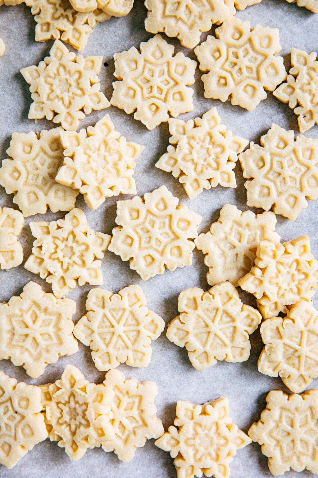 Best, Foolproof Cut Out Sugar Cookie Recipe » Hummingbird High